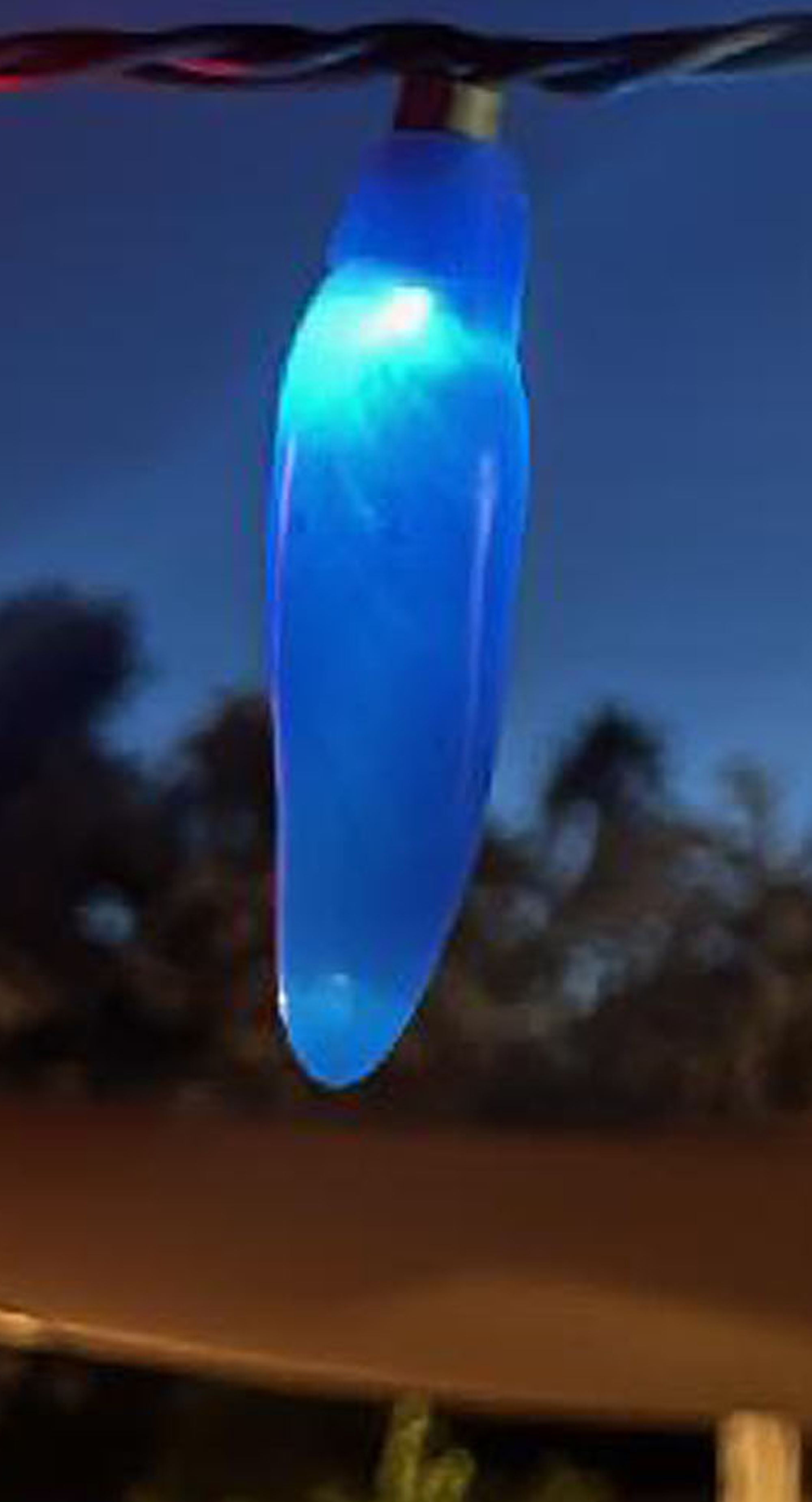 Vibrant Blue LED Chili Novelty Plug Decorative Lights - Indoor/Outdoor ...