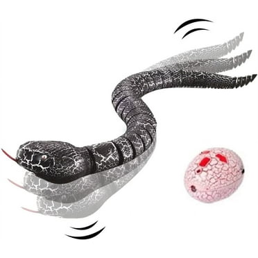 Terra by Battat ? Remote Control Infrared Light-Up Snake - Rainbow Boa ...