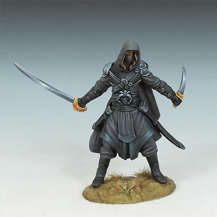 Hooded Assassin Miniature Visions In Fantasy Dark Sword Miniatures ...