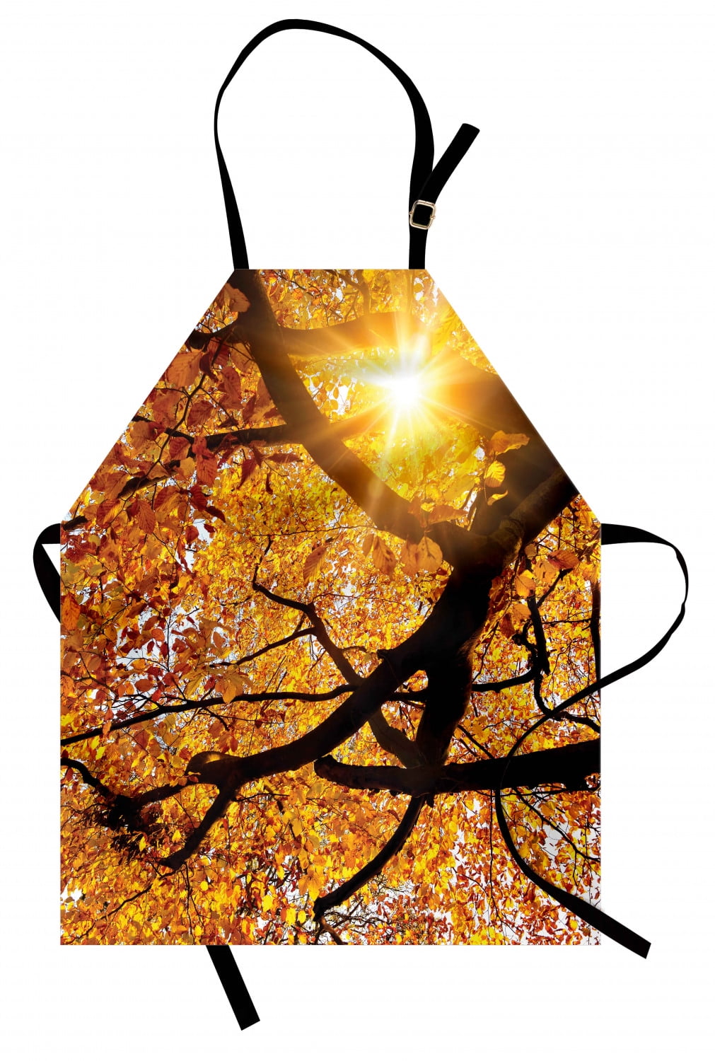 Nature Apron Sun through Leaf Golden Color Vivid October Foliage ...