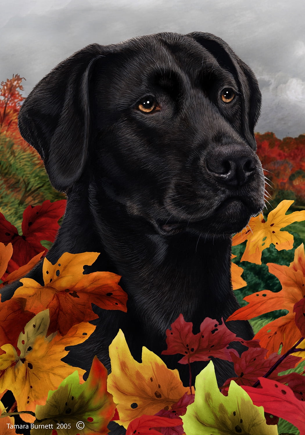 Black Labrador - Best of Breed Fall Leaves Garden Flags - Walmart.com