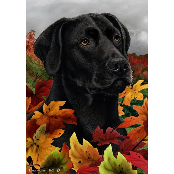 Black Labrador - Best of Breed Fall Leaves Garden Flags - Walmart.com ...