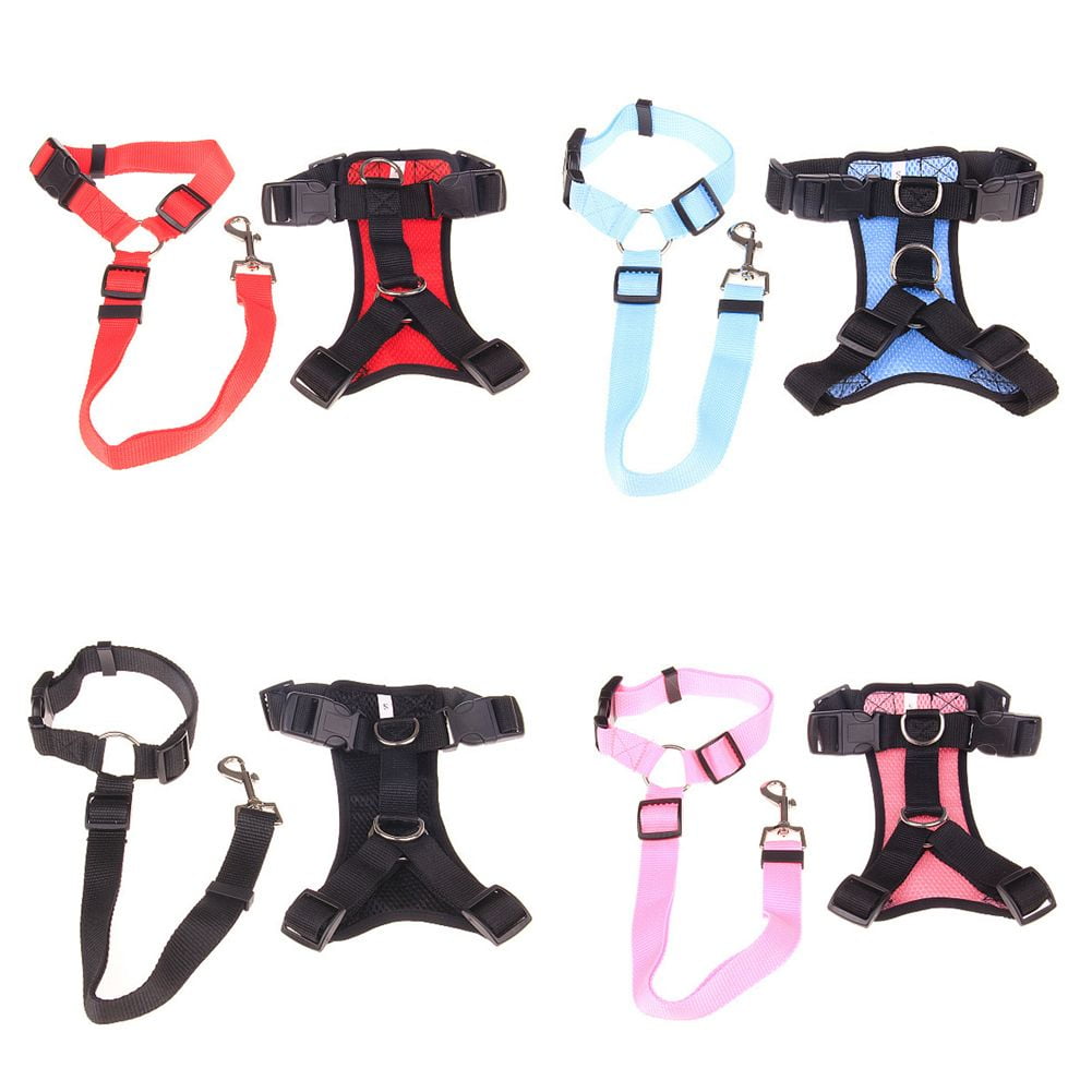 SPRING PARK Cat Harness and Traction Rope for Walking, Kitten Escape ...