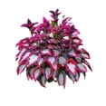 Artificial Decorative Plant Realistic Leaf Arrangement with Unique ...