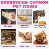 Oimmal Collagen Drops for Cats - 2 fl oz | Salmon Flavor - Support for ...