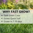 Fast Grow Grass Seed Mix, 15 Pounds - Walmart.com