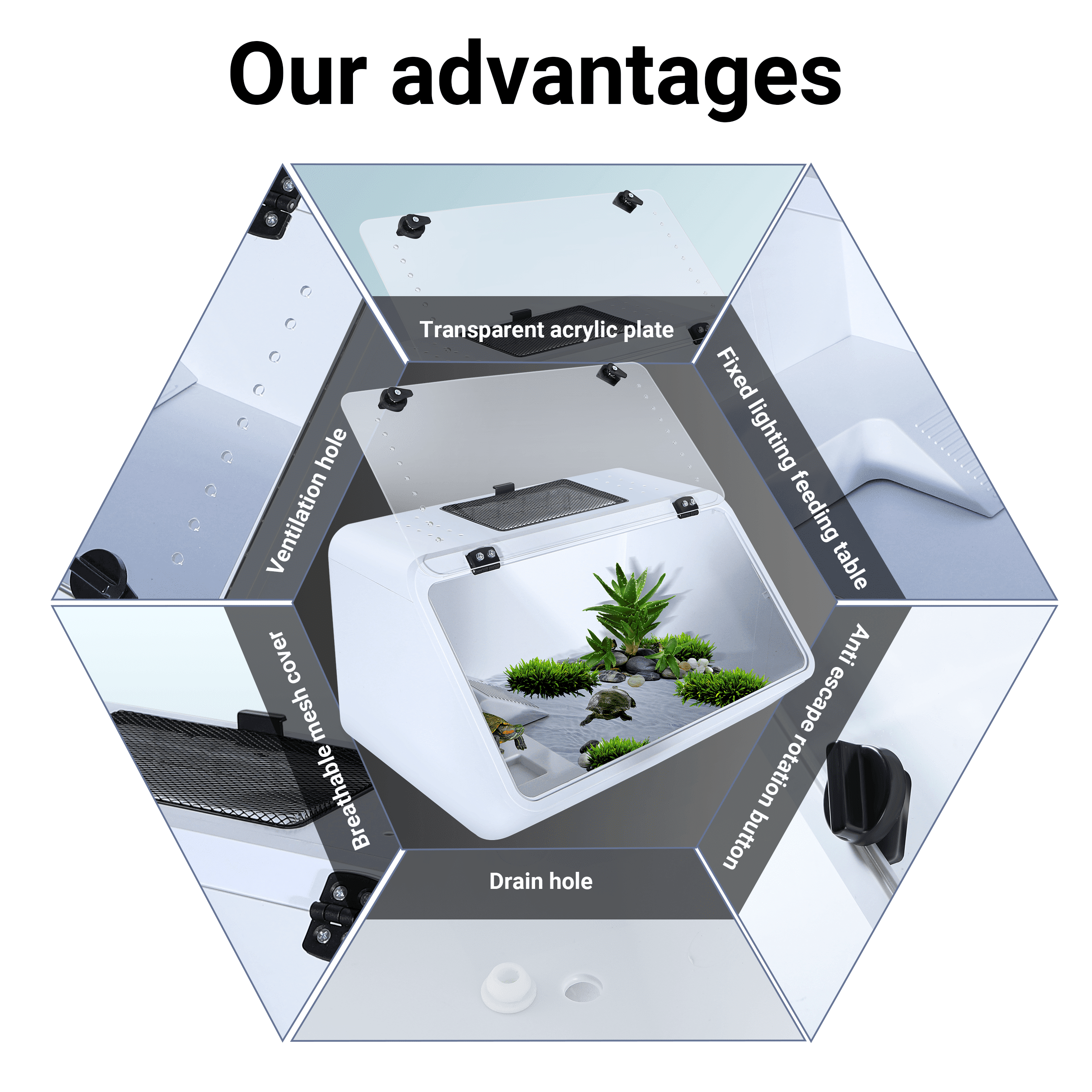 Buy ZXMT White Acrylic Turtle & Aquatic Reptile Tank with Heat Lamp ...