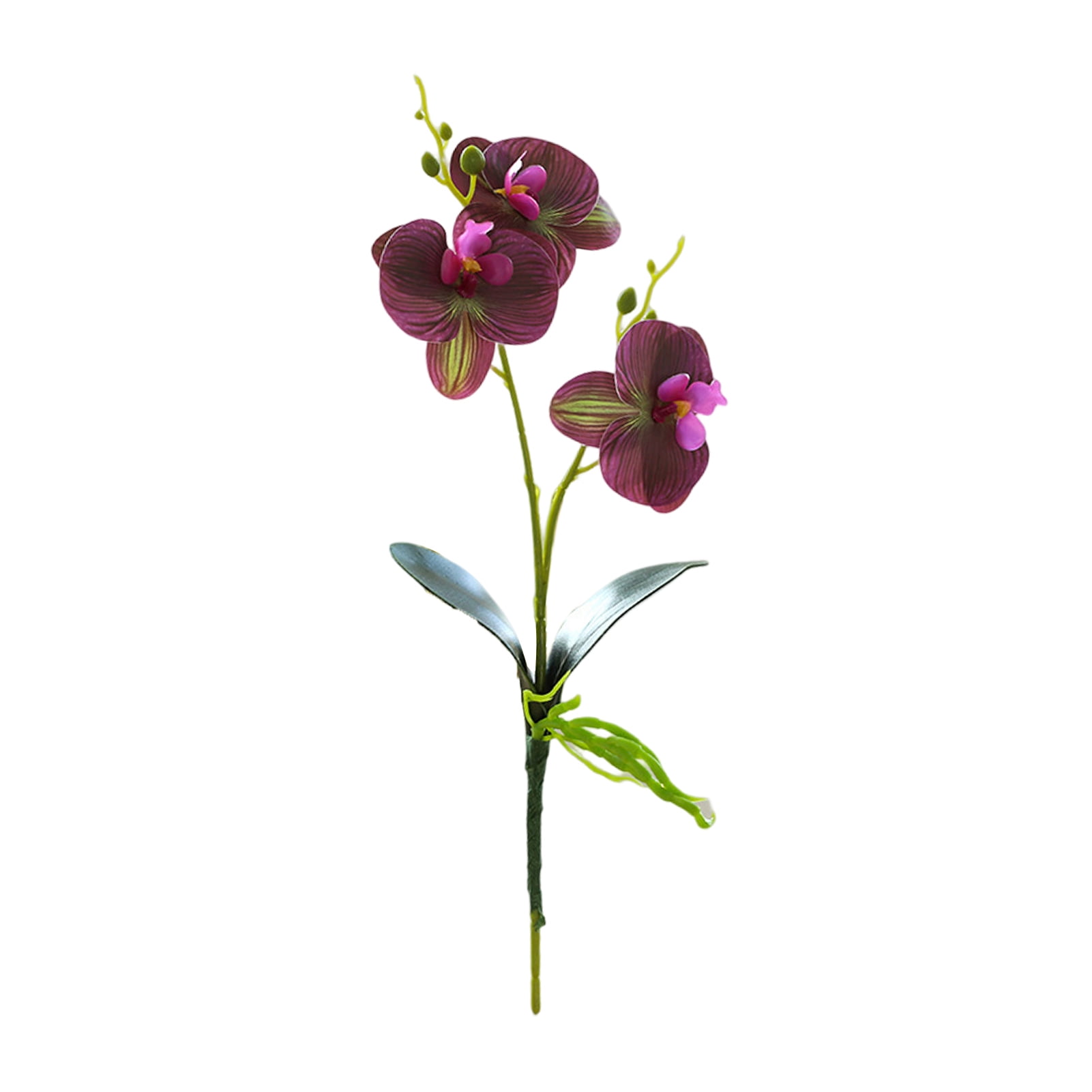 Artificial Orchid Stems Real Touch Orchid Fake Butterfly Phalaenopsis ...