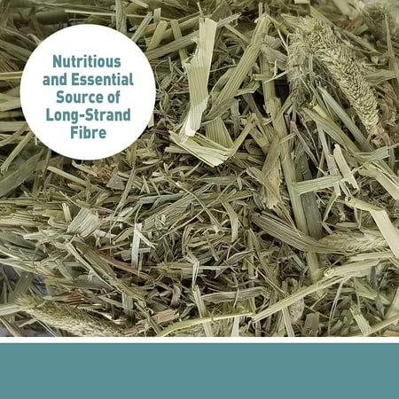 3-Lb, Timothy-Hay - or-Rabbits, Guinea-Pigs-and-Small-Animals | Walmart ...