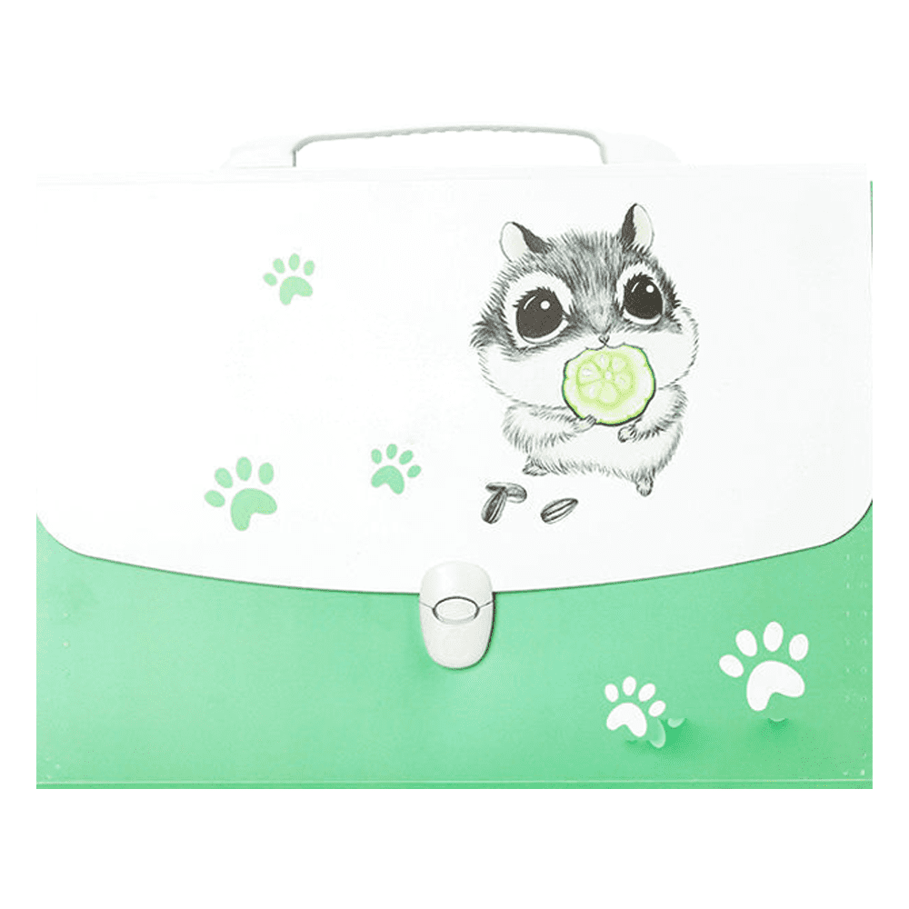 Pockets Expanding File Folder, A4 File Organiser, Plastic Accordion ...