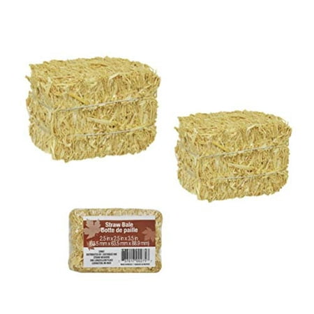 Mini Straw Bale Bundle of 3 Natural Hay for Autumn Fall Harvest, Craft ...