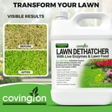 Covington Liquid Lawn Dethatcher and Soil Loosener, Kid and Pet Safe ...