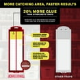 Catchmaster Pantry Moth Traps with Pheromone Technology - XL Moth Traps ...