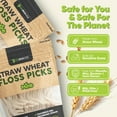 Dental Floss Picks - Straw Wheat Handle Flossers | Thin & Shred ...