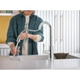 Riley Single-Handle Pull-Down Sprayer Kitchen Faucet with Reflex and ...