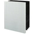 Genuine Winix 115115 Replacement Filter A for C535, 5300-2, 6300-2,P300 ...