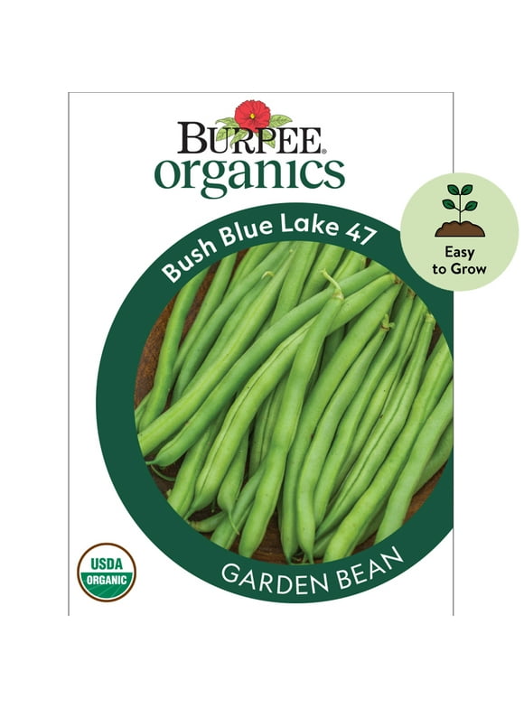Vegetable Seeds in Seed Gardening - Walmart.com