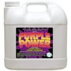 Purple Power Degreaser Concentrate, 2.5 Gallons - Walmart.com