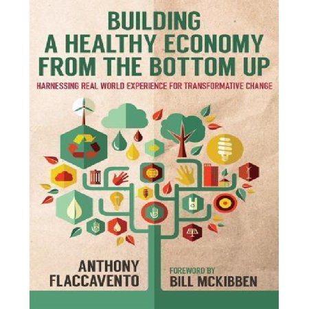 Building a Healthy Economy from the Bottom Up: Harnessing Real-World ...