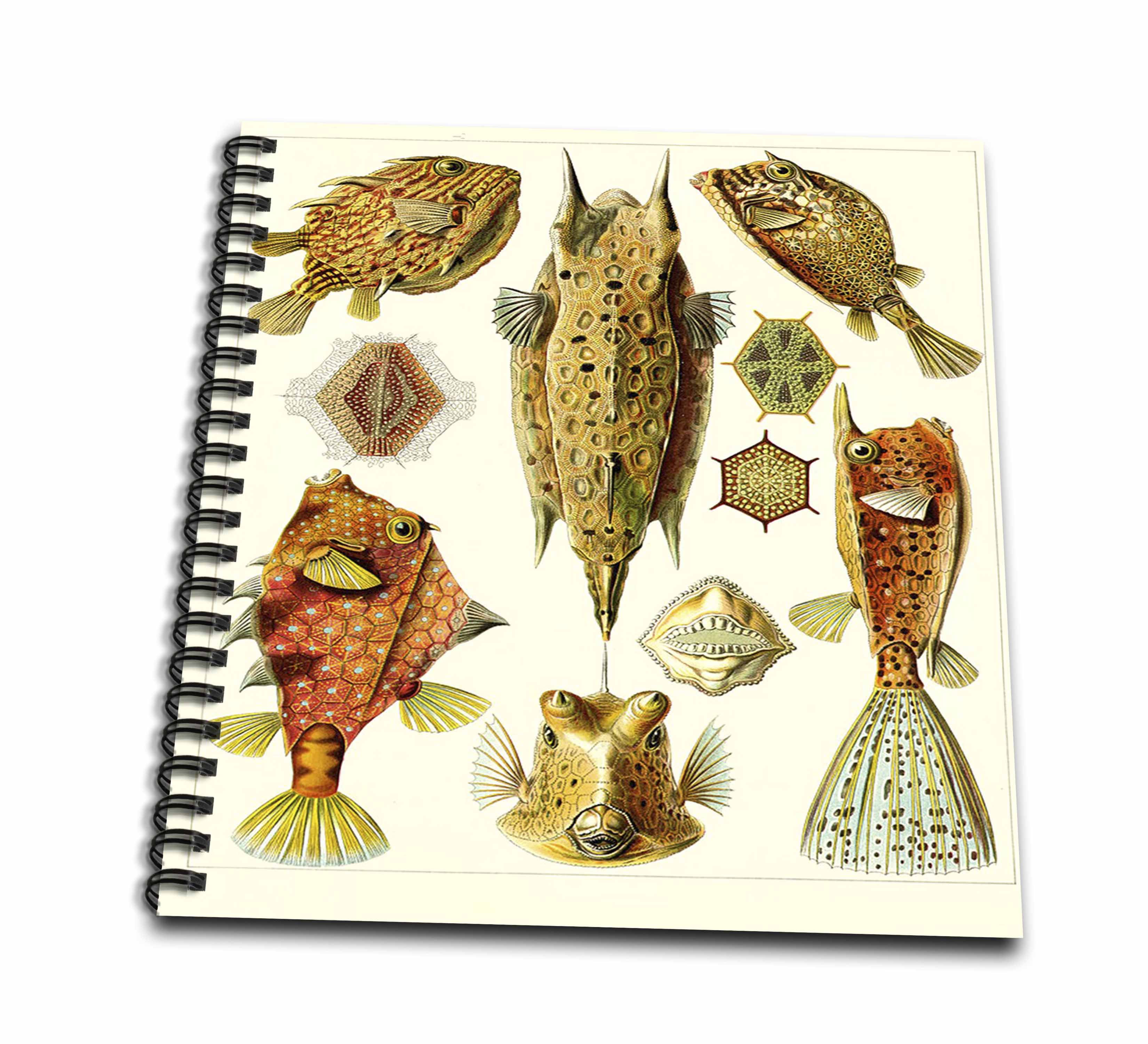 3dRose Famous Biologist Sketch of Anatomy Of A Fish 1800s - Drawing ...