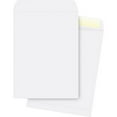 Business Source 28 lb. White Catalog Envelopes Catalog - #13 1/2 - 10 ...