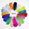800pcs Colorful Feathers 20 Colors Craft Feathers 3-5 Inches Assorted ...