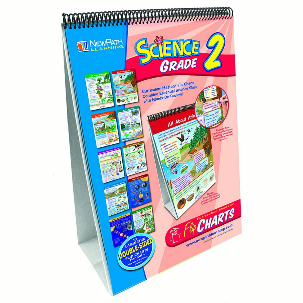 Science Skills Curriculum Mastery Flip Chart, Grade 2 | Bundle of 5 ...