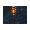 CozyNet Shepherd Staff Glowing Powerful Symbol Of Guidance, Care ...