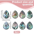 1set 8Pcs Natural Abalone Shell/Paua Shell Beads Teardrop Colorful ...