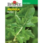 Burpee-Rosemary Seed Packet - Walmart.com