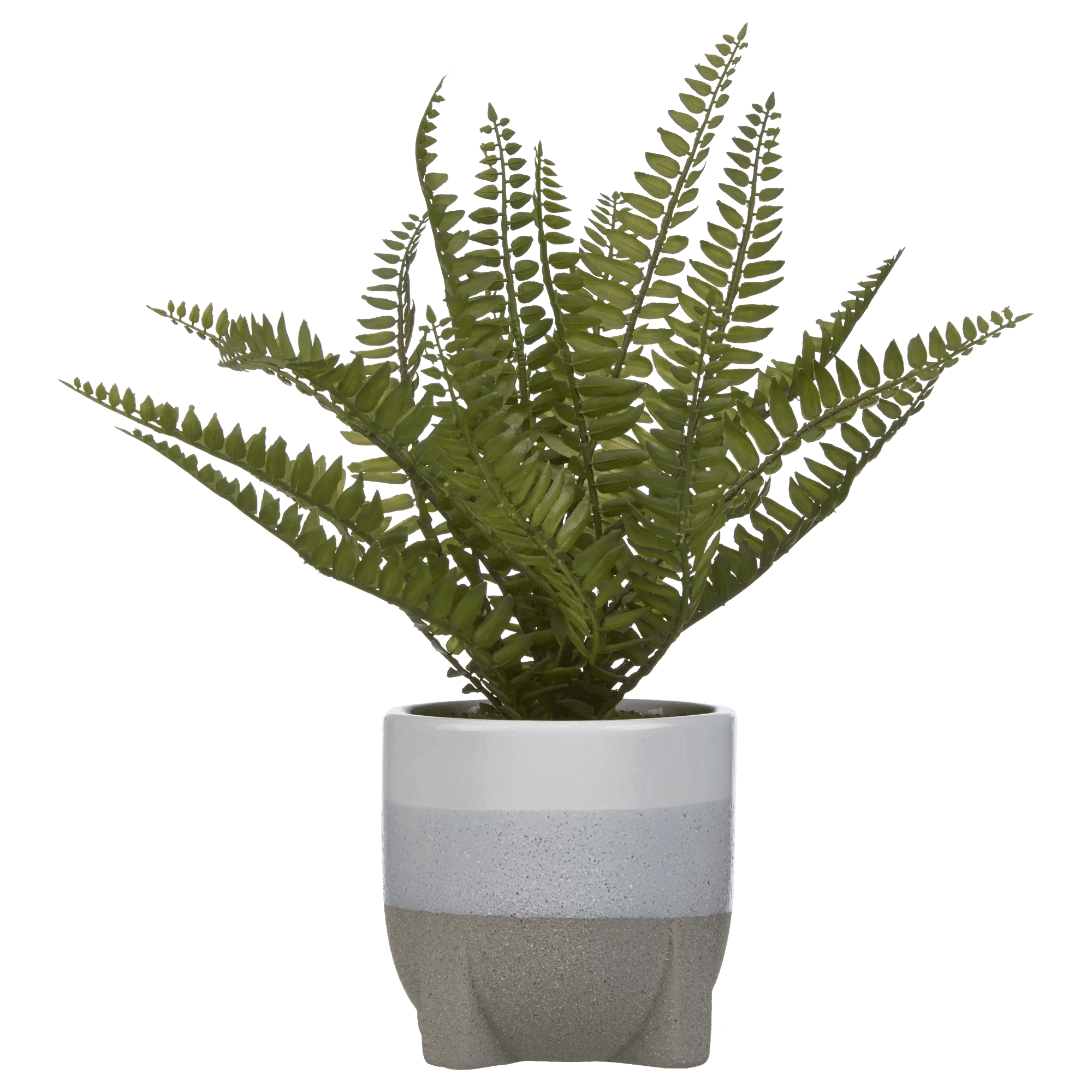 Click here for Bouclair Artificial Fern In Two-Tone Ceramic Pot prices