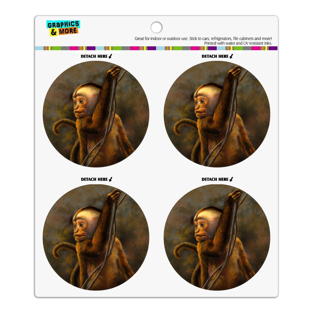 Capuchin Monkey Organ Grinder Refrigerator Fridge Locker Vinyl Circle ...