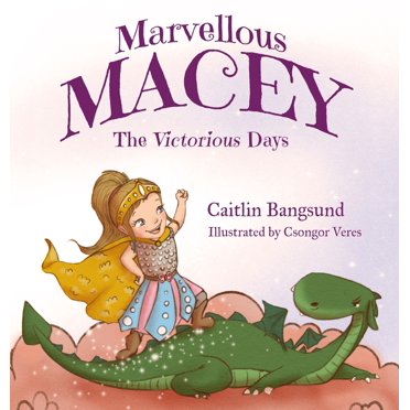 The Night Box (Hardcover) - Walmart.com