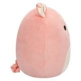 Kellytoys Squishmallow 10 Inch Petra the Pink Pig - Super Soft Plush ...