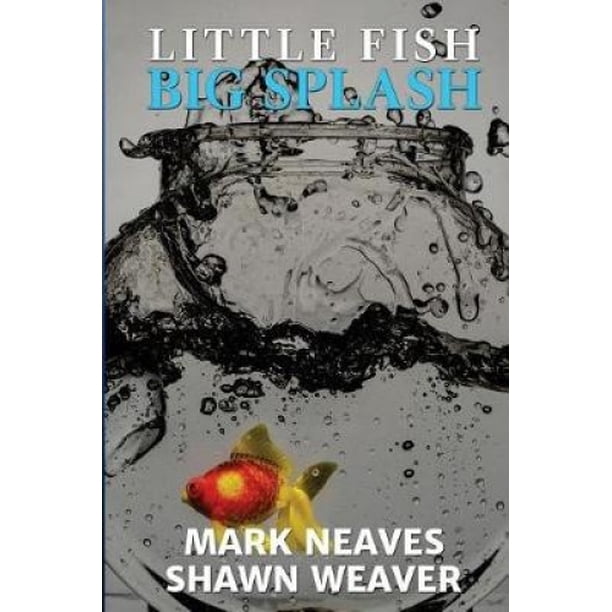 Little Fish, Big Splash - Walmart.ca