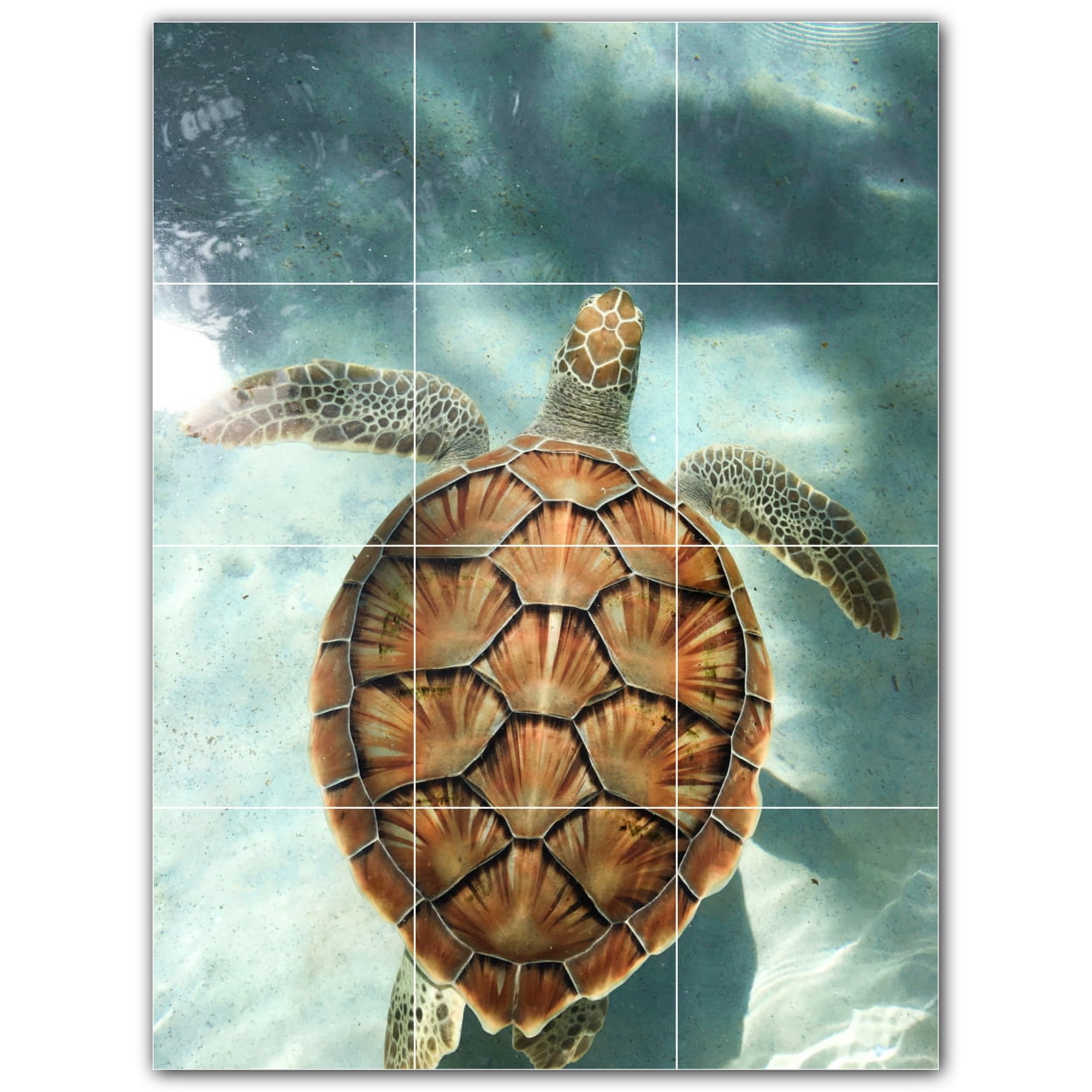 Picture-Tiles.com: Turtle Ceramic Tile Wall Mural WAL501049-34M. 18"W x ...