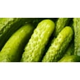 Best Maid, Whole Dill, 5 Gallon, 60-80ct, suitable for foodservice and ...