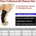 Hock & Joint Protection for Wounds, Injuries, & Arthritis Prevention ...