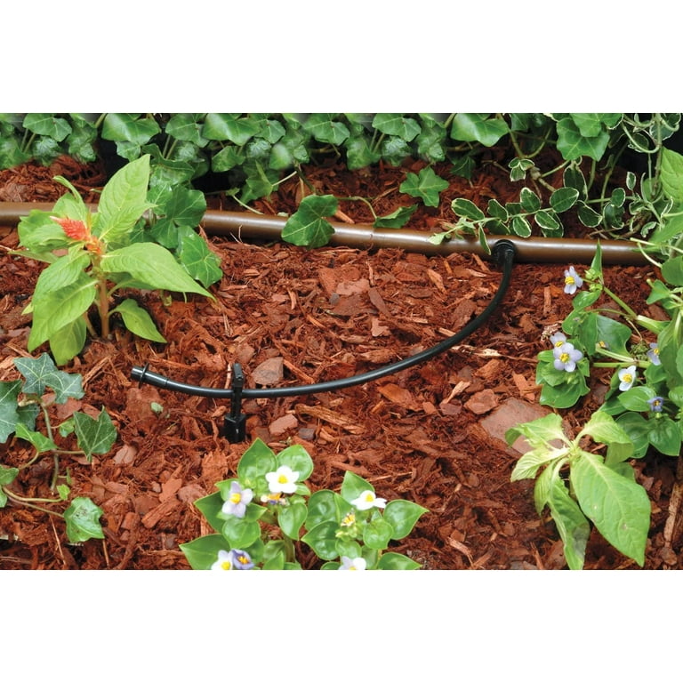 Drip Irrigation Landscape
