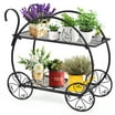 Ktaxon 6-Tier Garden Cart Stand & Flower Pot Metal Plant Holder Display ...