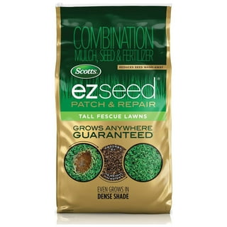 Apache Arrowleaf Clover Seed - 10 Lbs. - Walmart.com