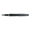 Zebra V-301 Stainless Steel Fountain Pen with Bonus Refill, Fine Point ...