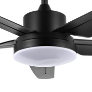 Farmhouse Style 24 Inch Black Ceiling Fan with Lights, Remote Control ...