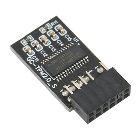 ANGGREK TPM 2.0 Encryption Security Module For GIGABYTE 12Pin LPC ...
