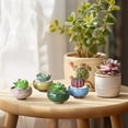 2.5 Inch Small Ceramic Succulent Planter Pot with Drainage Hole Set of ...