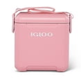 (2 pack) Igloo 11 QT Tag-A-Long Hard Sided Cooler, Pink - Walmart.com
