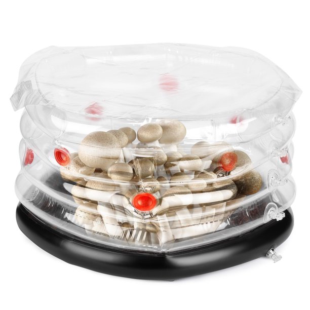 Mushroom Grow Tent
