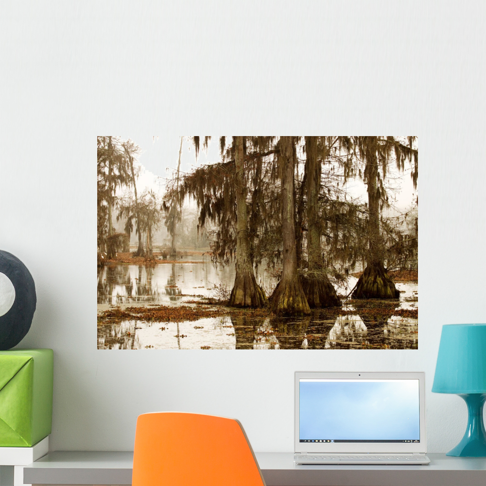 Misty Morning Swamp Wall Mural by Wallmonkeys Peel and Stick Graphic ...