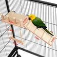 Bird Perches Platform Swing with Climbing Ladder, Parakeet Cage ...