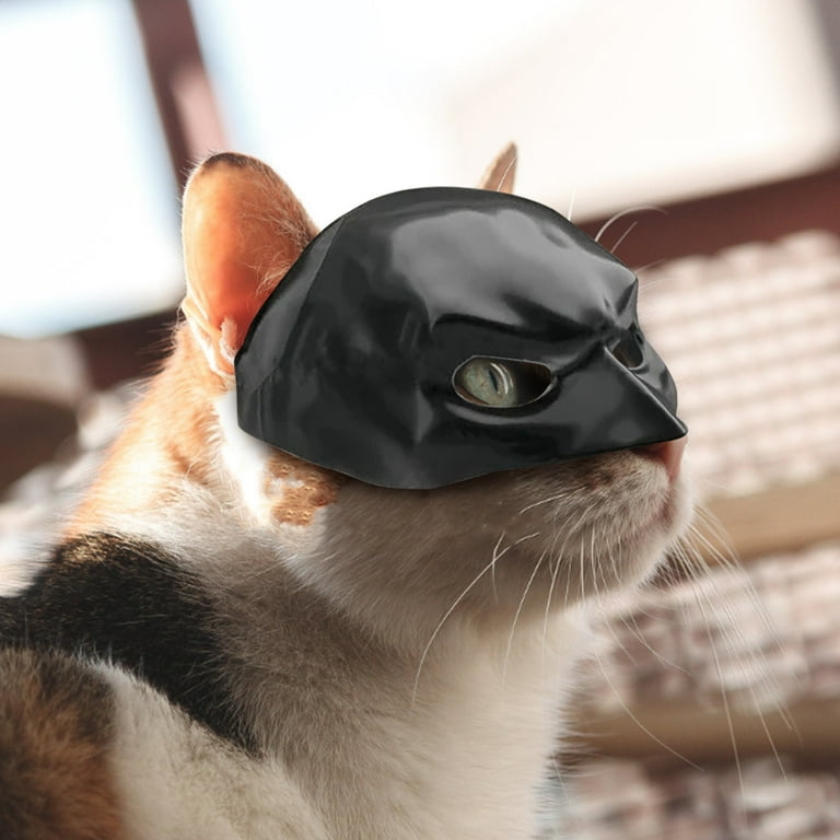 Cat Batman Costume
